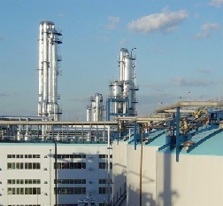 Item Code: Features: Bio-chemical, Fermentation Project